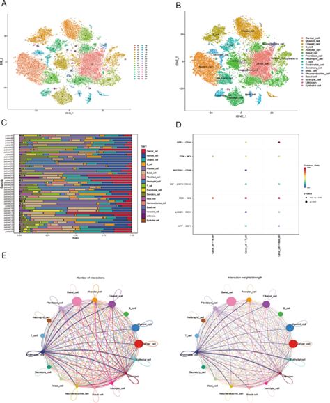 单细胞和批量 Rna 测序数据的综合分析揭示了基于 T 细胞标记基因的分子亚型和肺腺癌的预后特征 Scientific Reports X Mol