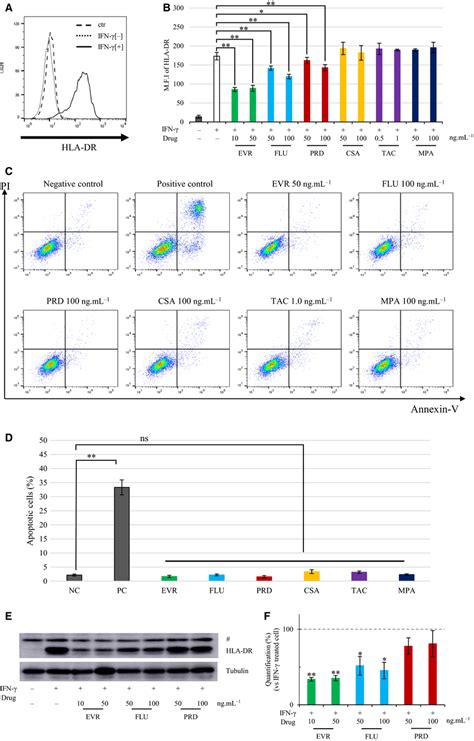 The Suppressive Effect Of Immunosuppressive Drugs On Ifn‐γ‐induced Download Scientific Diagram