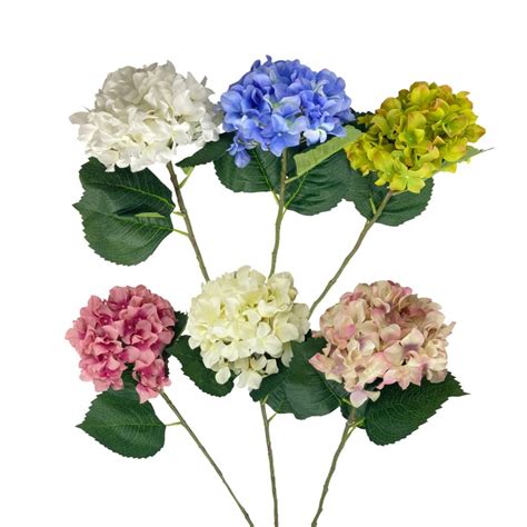 Ortensia 6 colori - Valeria Import