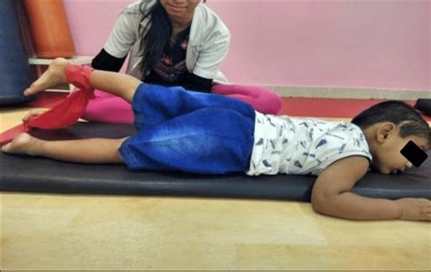 Hip Extensors Strengthening Exercises Download Scientific Diagram