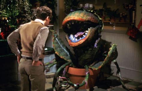 Audrey Ii The Evolution Of The Little Shop Of Horrors Plant