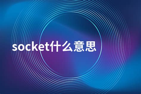 socket什么意思 选型指导 万商云集