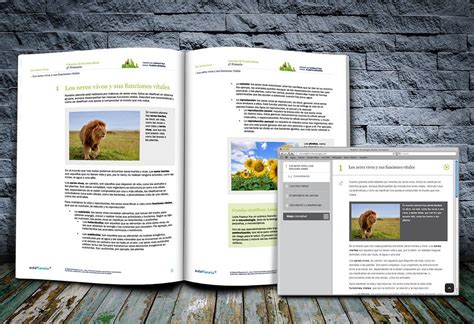 Portfolio De Tecnologías Xml Dolphin Tecnologías Barcelona