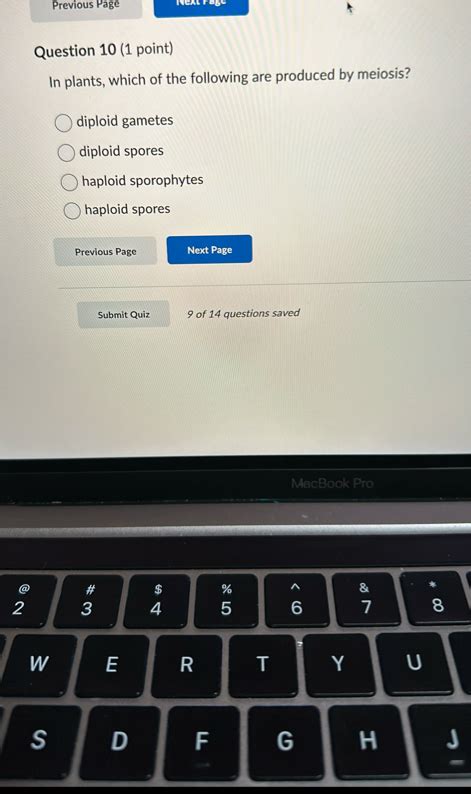 Solved Question 10 (1 ﻿point)In plants, which of the | Chegg.com