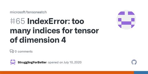 Indexerror Too Many Indices For Tensor Of Dimension 4 · Issue 65