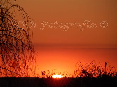 Nfa Fotografía