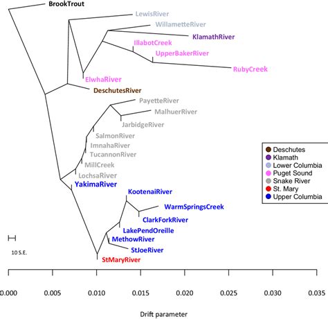 Maximum Likelihood Graph Of Population Relationships Inferred Using