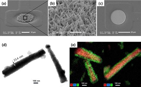 A Shows An Fesem Image Of The Grown Patterned Mea Iro Download Scientific Diagram