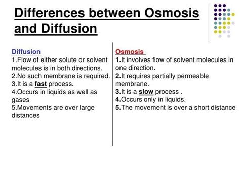 A Visual Representation Of Diffusion And Osmosis