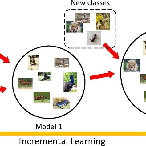 Example Of Incremental Learning In Multiclass Classification On Images Download Scientific