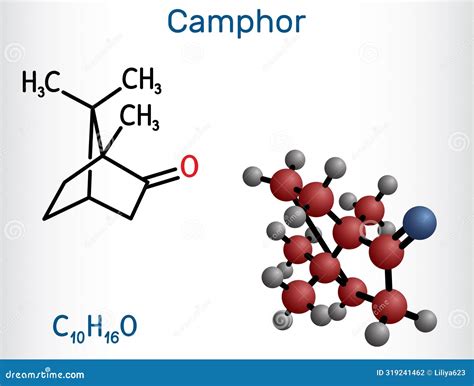 Camphor Molecule It Is Terpenoid And A Cyclic Ketone Structural