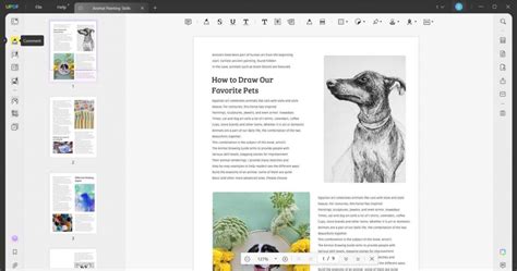 How To Add Border To PDF With Without Adobe UPDF
