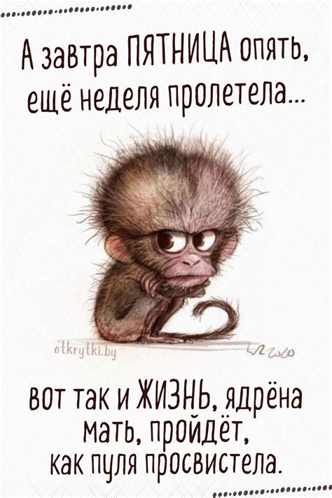 Картинки про ПЯТНИЦУ с юмором и веселыми надписями