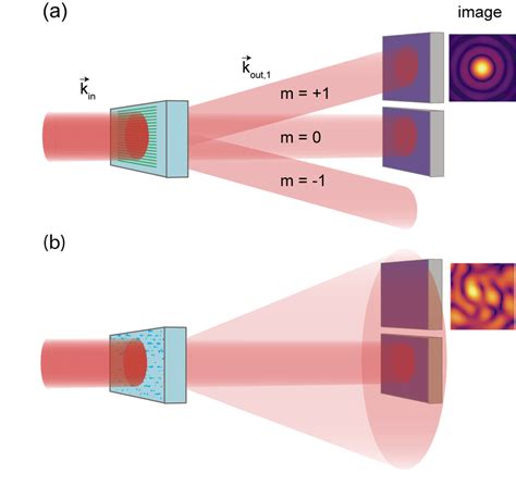 Signal And Background In Diffractometric Biosensors A Light Is Download Scientific Diagram