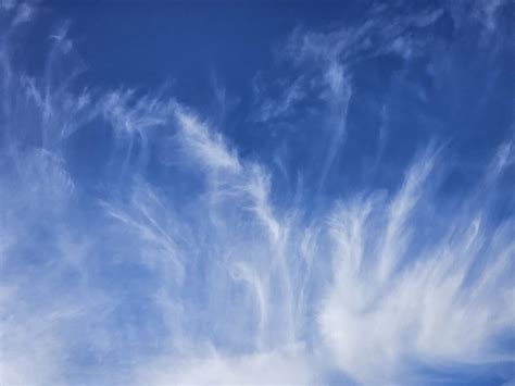 Haotian Chen Cloud First Cirrus Uncinus Flow Visualization