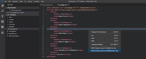 Salesforce Code Crack Salesforce Dxsfdx Setup For Non Scratch Org