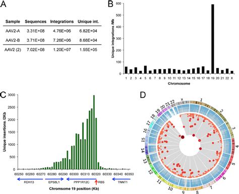 Chromosomal Distribution Of Integration Events And Hotspots A