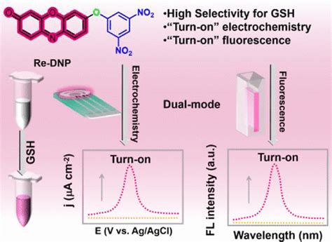 High Selectivity Fluorescence And Electrochemical Dual Mode Detection Of Glutathione In The