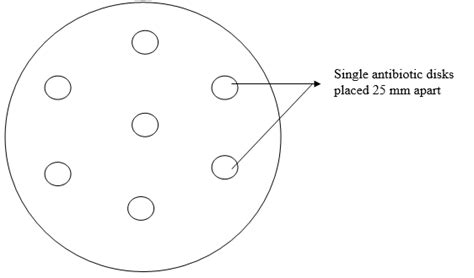 Antibiogram And Interpretative Standards For Antibiotic Antibacterial