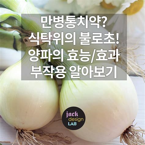 당신만 모르는 만병통치약 처럼 몸에도 좋고 건강에 유익한 채소 양파의 효능 효과 알아보기 양파 부작용 확인하기