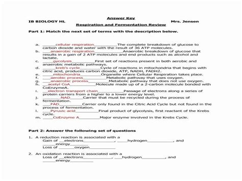 50 The Circulatory System Worksheet Answers Chessmuseum Template Library