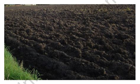 Types Of Soil Sandy Soil Clay Soil Silt Soil Loam Soil