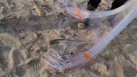 수제투망과 만능투망의 대결 과연 Youtube