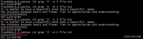 Linux常用命令——grep（）linux Grep Csdn博客