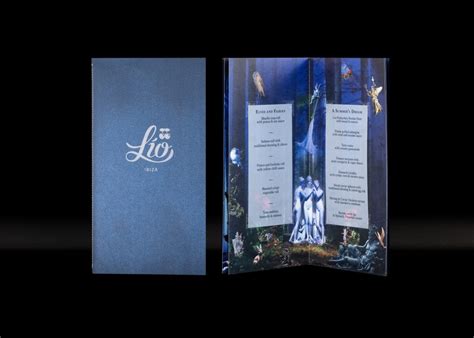 Case Study Lio V Duchess Alleycat