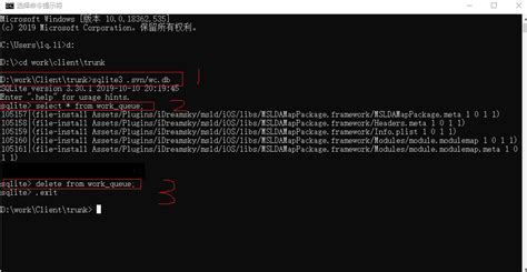 关于svn不能cleanup的问题 时空观察者9号 博客园