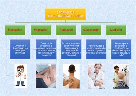 Importancia De La Exploración Física En Medicina Aqan