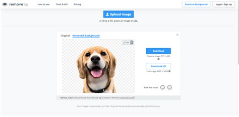 How To Remove The Background From A Picture In PowerPoint Remove Bg Blog