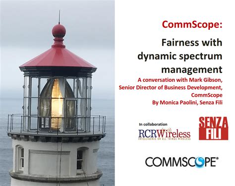 Fairness With Dynamic Spectrum Management