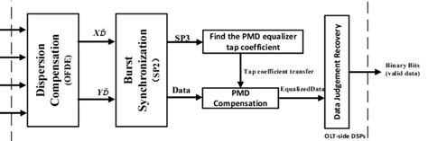 Olt Receiver Dsp Block Diagram Download Scientific Diagram