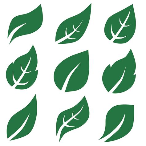 Simple Leaf Vector