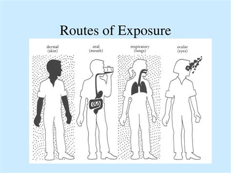 Ppt Pesticide Safety Powerpoint Presentation Free Download Id790118