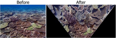 New Algorithm Solves Century Old Problem For Coral Reef Scientists