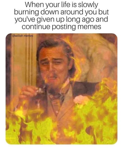 Return Of The Meme 1065 Woke Orcs Album On Imgur