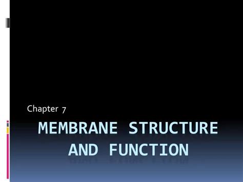 Ppt Membrane Structure And Function Powerpoint Presentation Free