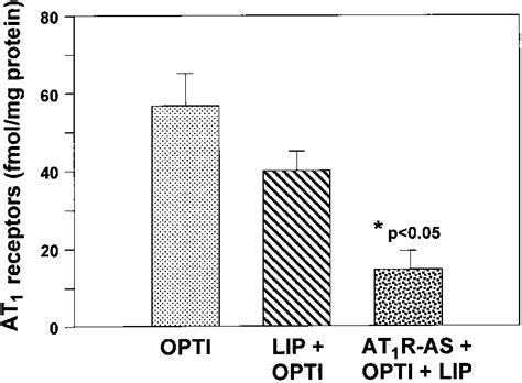 Decrease Of At 1 R Number In Transfected Vsmcs Vsmcs Were Transfected