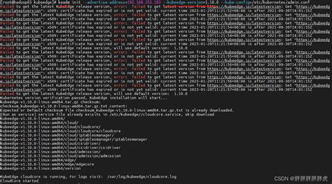 部署 kubeedge 及简单使用 kubeedge怎么使用 csdn博客