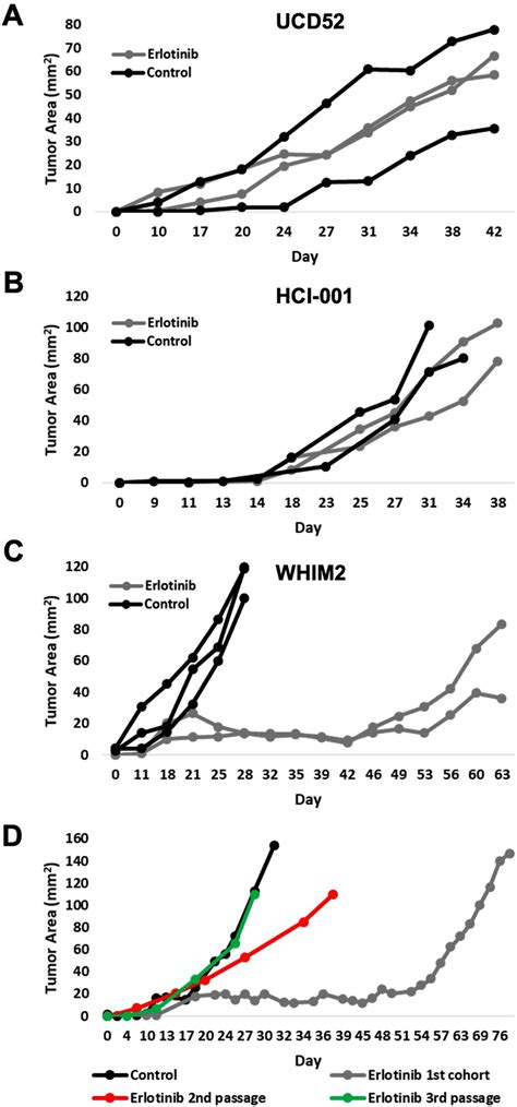 Development Of Acquired Erlotinib Resistance In An Erlotinib Sensitive