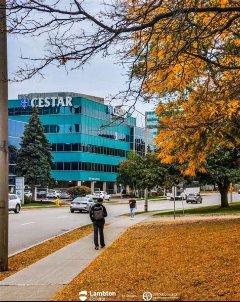 Nimesh Vasani On Linkedin Lambtoncollege Mobileappdevelopment Graduation Futureready