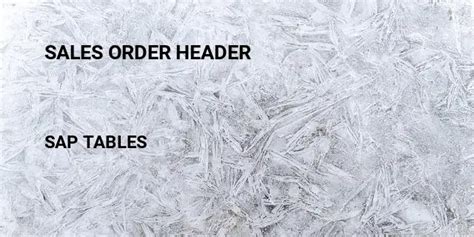 Sales Order Header Table In Sap