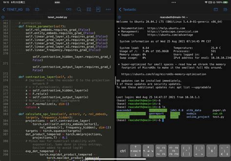 Ipad生产力指南——编程 Omegaxyz
