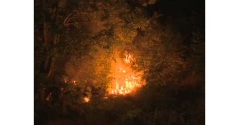 Дядо и внуче пекли патладжани и причинили пожара край Маджарово