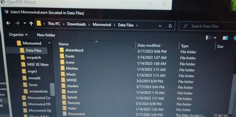 can t find morrowind esm in data files r openmw