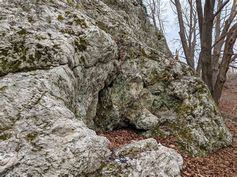 Metacom The Chief Who Almost Kicked The English Out Of North America