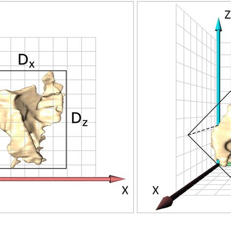 Pore Shape Classification For Equancy Based On The Sl Ratio A Download Scientific Diagram