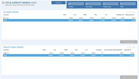 Power Bi Fte And Capacity Report